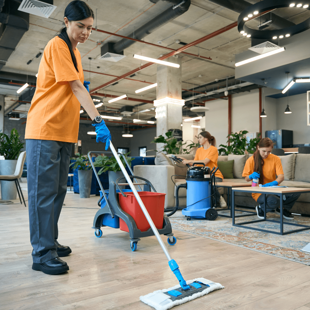 Specialized Cleaning Services | Stylish & shine cleaness llc